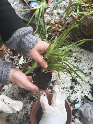 Obilježen Međunarodni dan urbane ekologije | Općina Centar Sarajevo