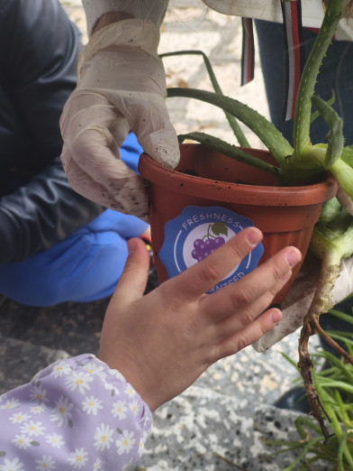 Obilježen Međunarodni dan urbane ekologije | Općina Centar Sarajevo